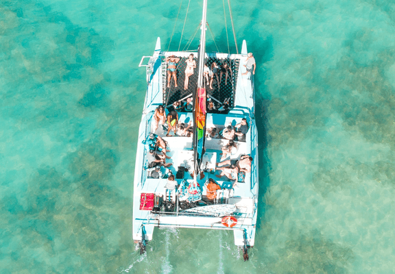 Expériences - Wanaut