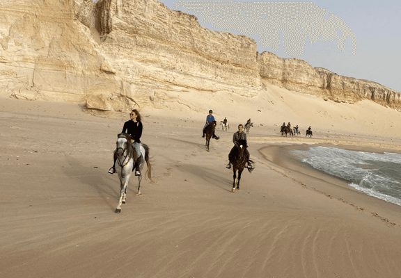 Expériences - Wanaut